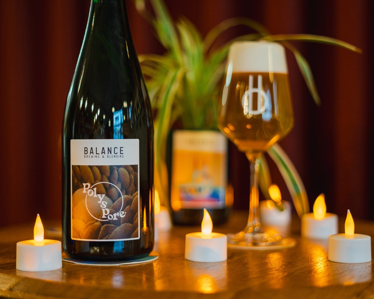 Chestnut & Lion's Mane - 6.5% - 750ml – Balance Brewing & Blending