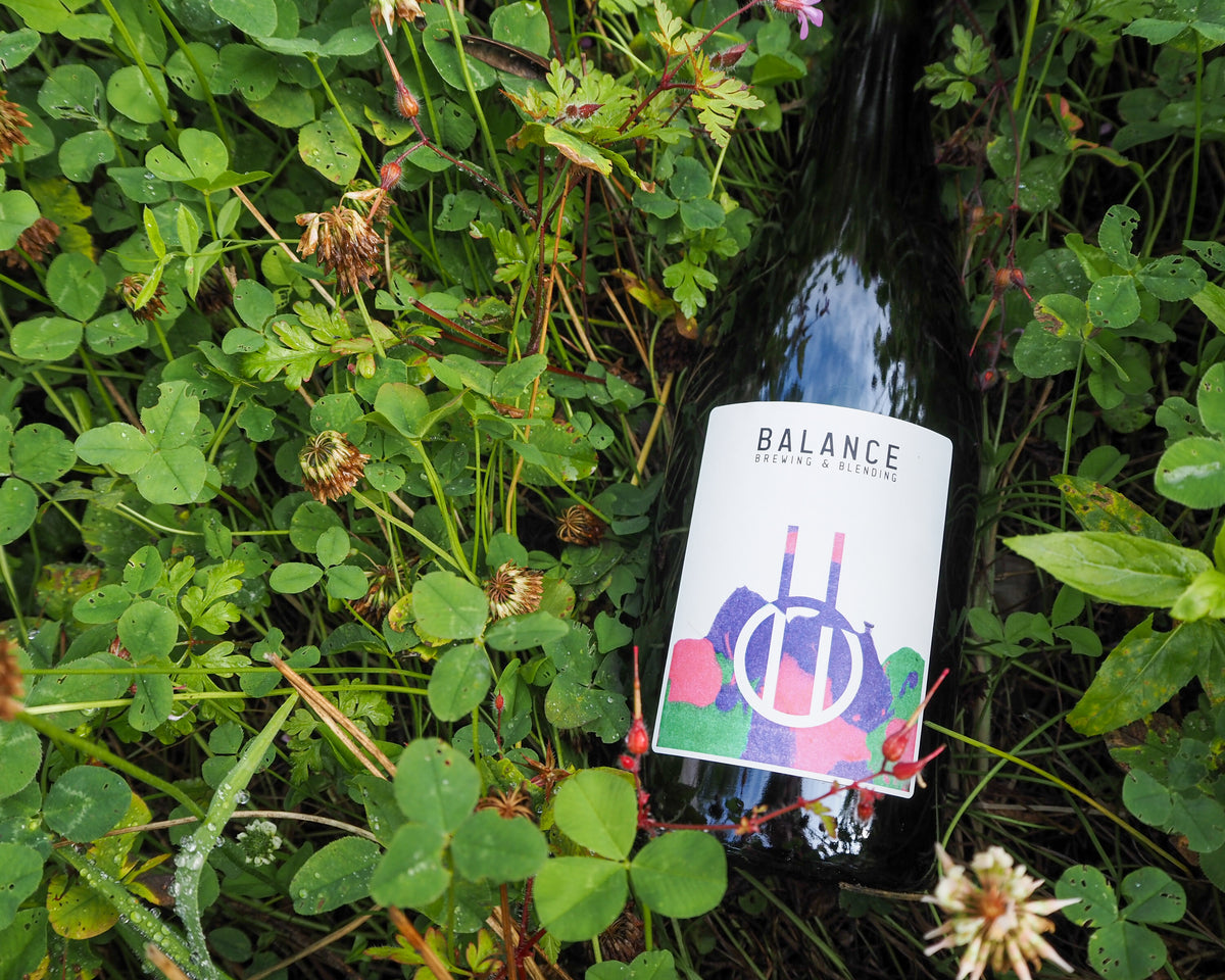 Clingstone 2023 - 6.5% - 750ml Bottle – Balance Brewing & Blending