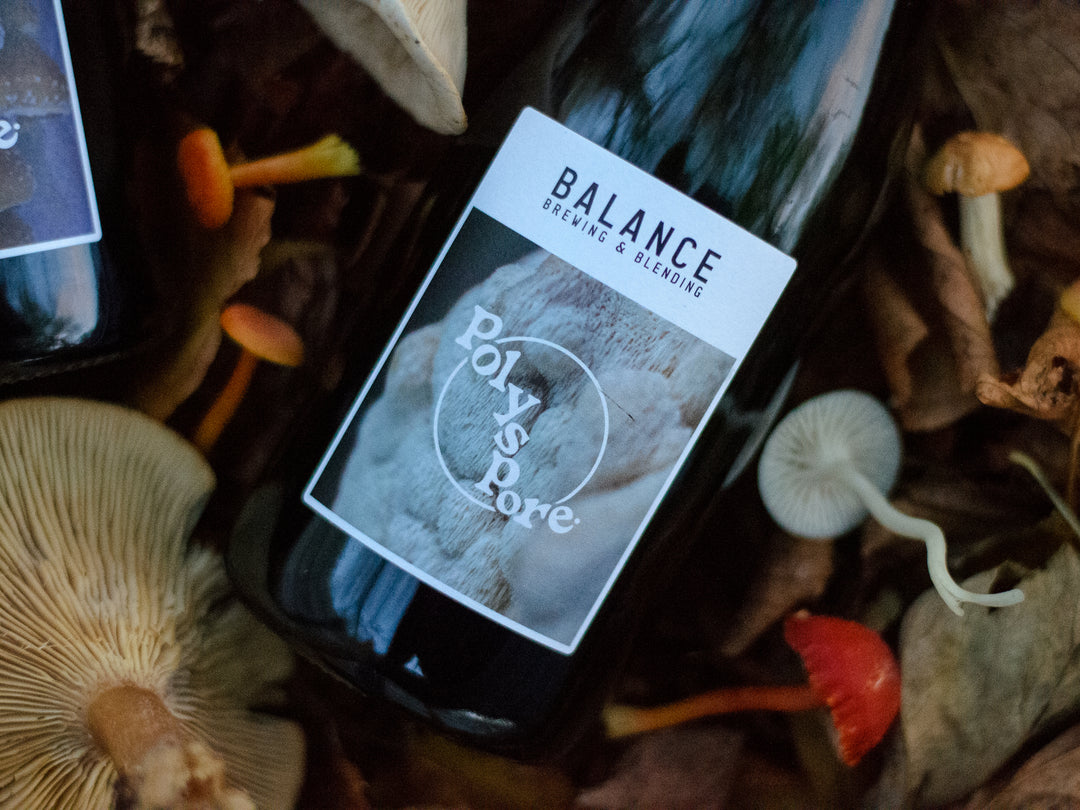 Previous Beers – Balance Brewing & Blending