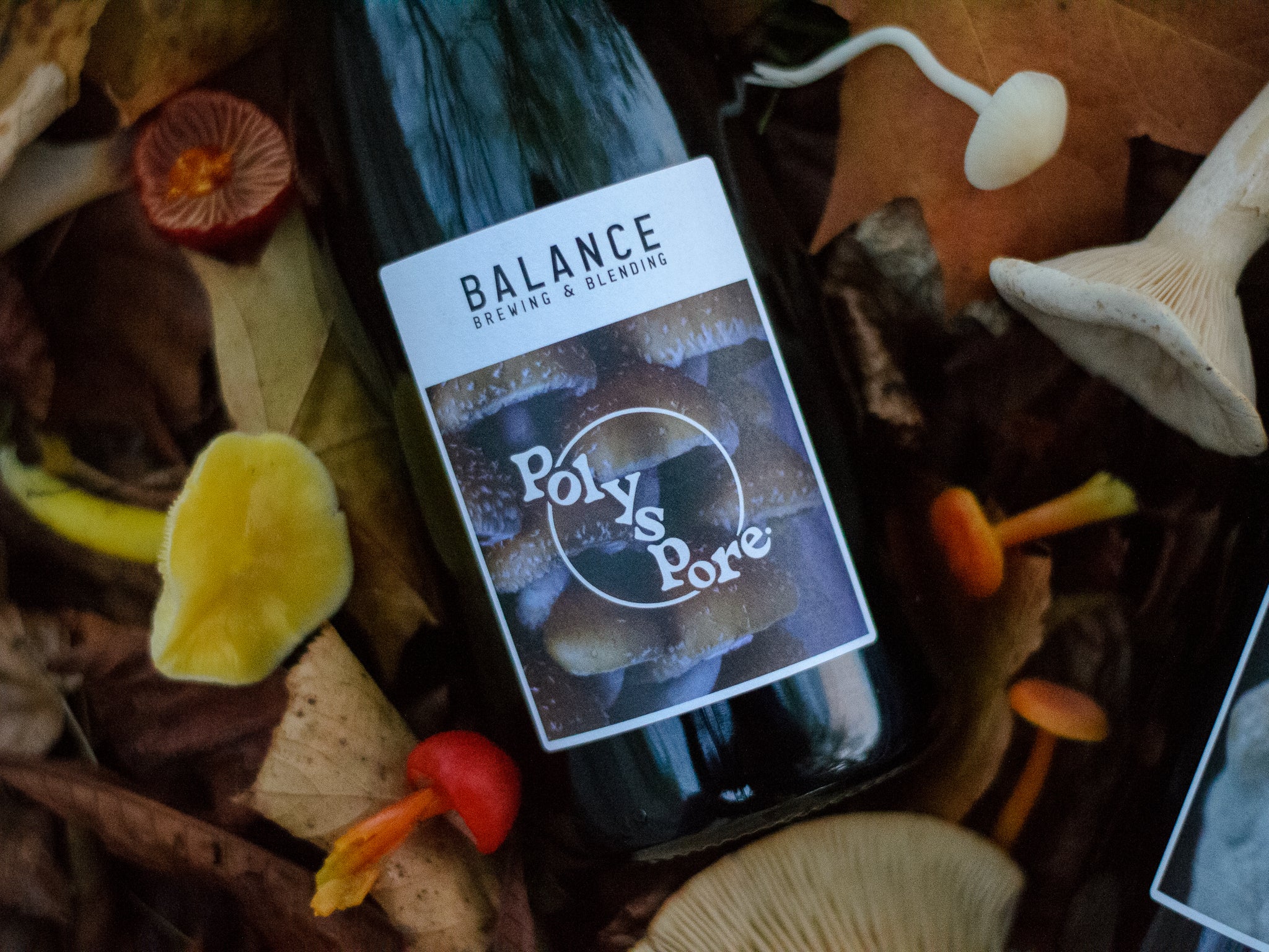 Previous Beers – Balance Brewing & Blending